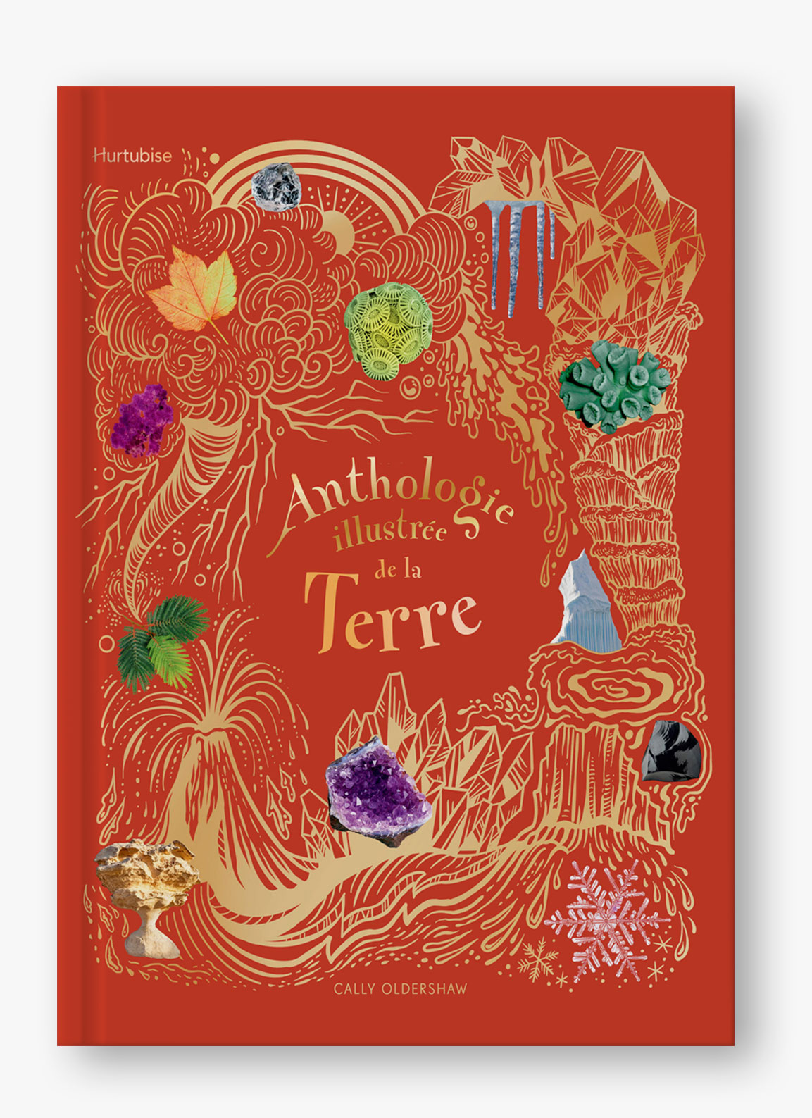 Tout sur les plantes ! - Éditions Hurtubise