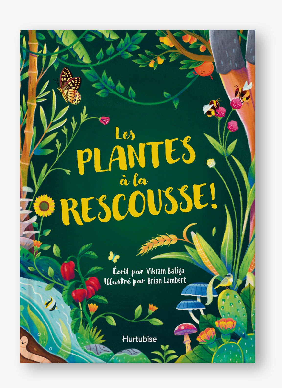 Tout sur les plantes ! - Éditions Hurtubise