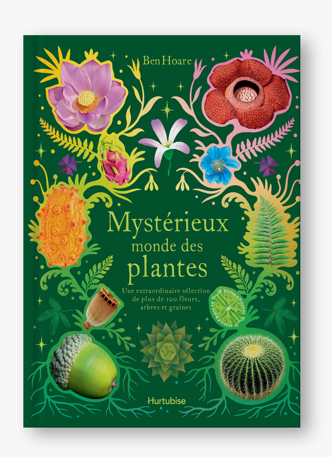 Tout sur les plantes ! - Éditions Hurtubise