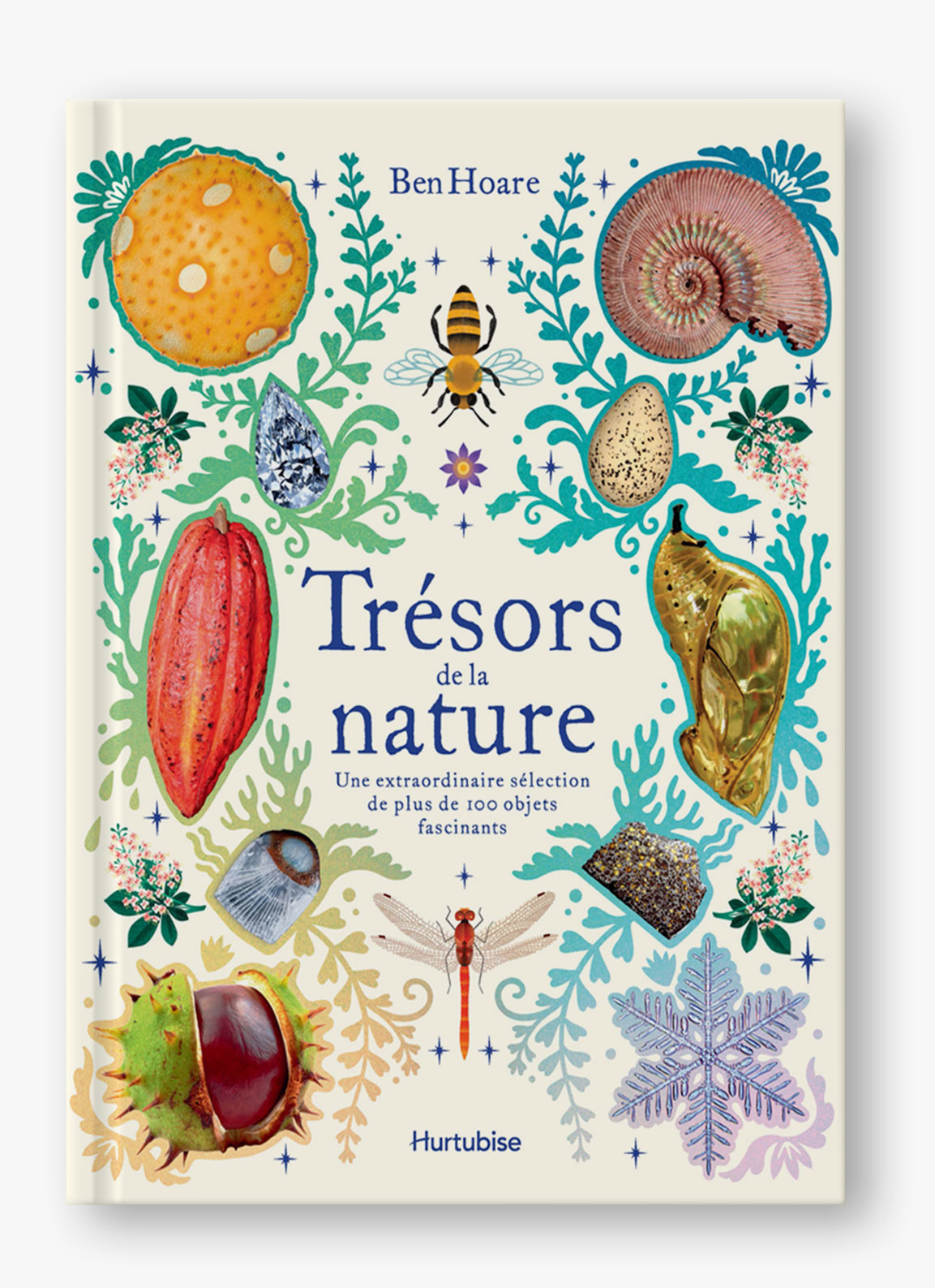 Tout sur les plantes ! - Éditions Hurtubise